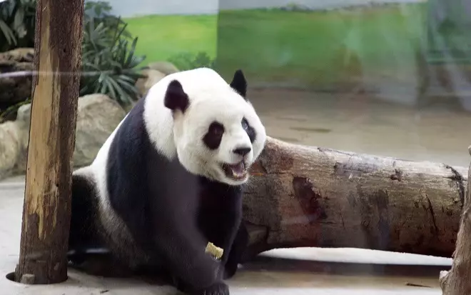 台北動物園