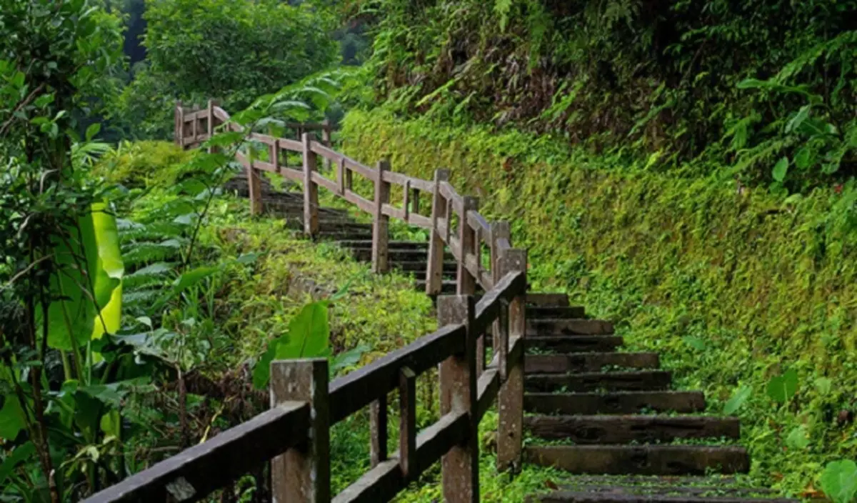 Taman ekologi Yuantan.