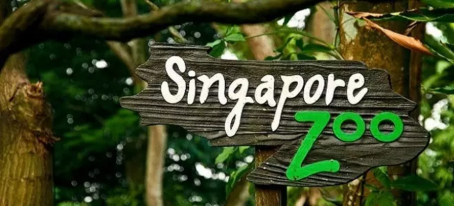 Zoo ni Singapore