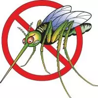 Protección de mosquito para nenos