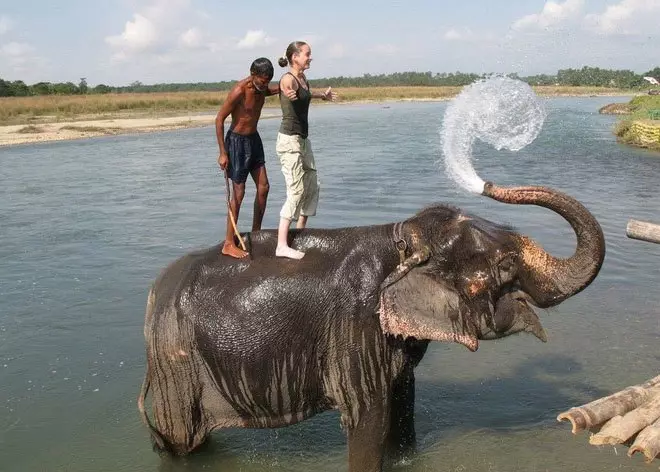 අලි සමඟ ස්නානය කිරීම