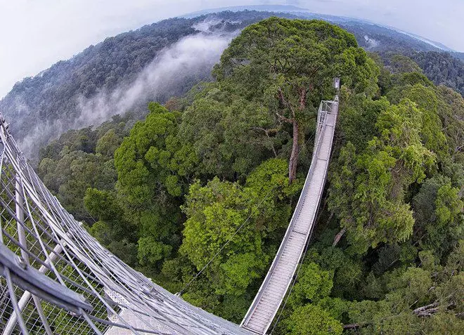 Ulu-Temburong Parke Nazionala