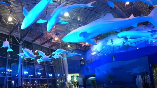 Aquarium Sharjah