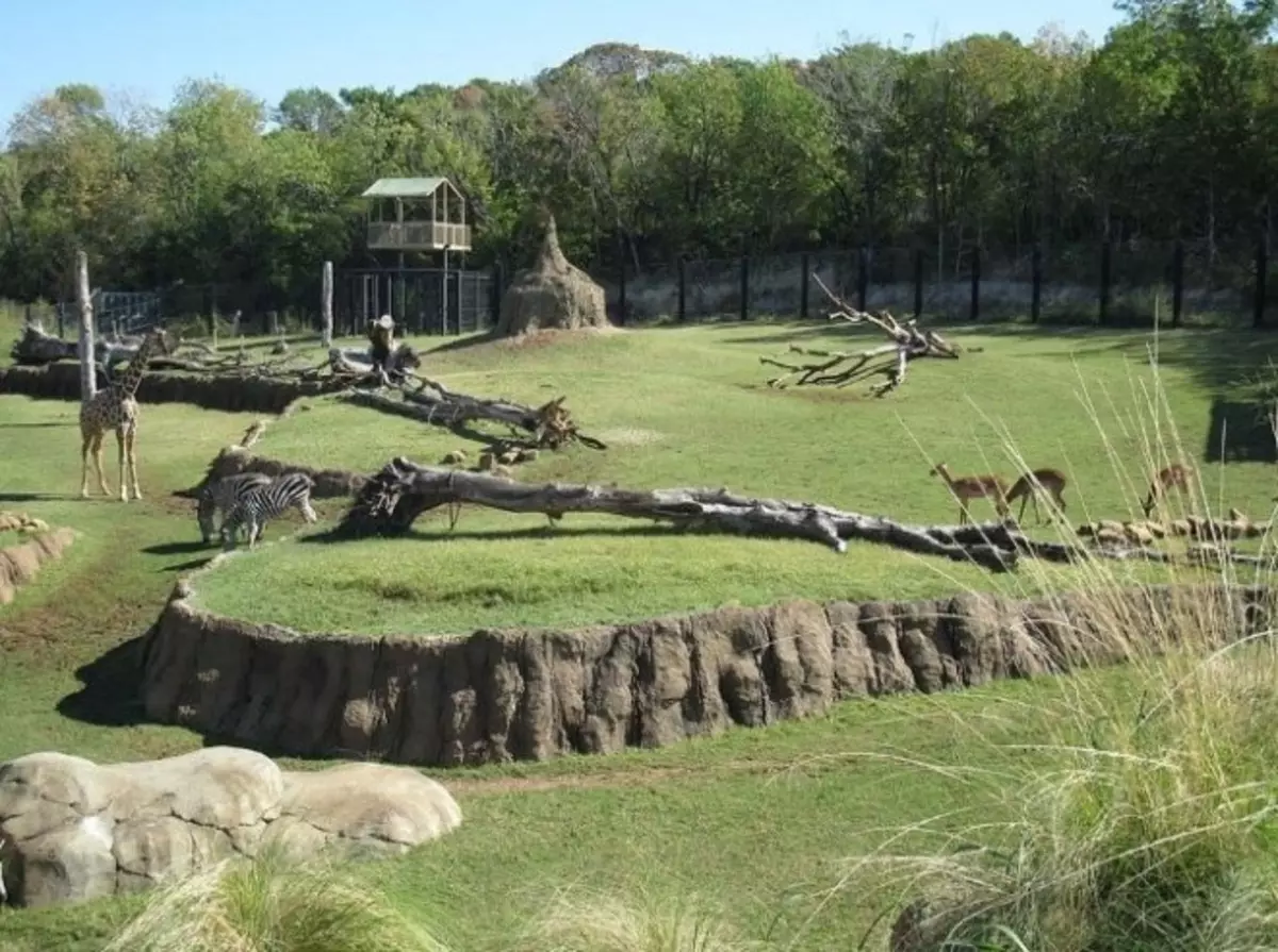 ドバイ動物園