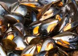 mussels အတွက်ကယ်လိုရီဘယ်လောက်များများ