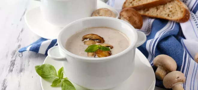 Champignon soup soup