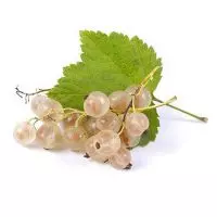 Vitamins White Currant