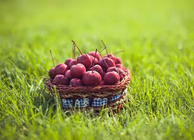 Ranetki - நன்மை மற்றும் தீங்கு