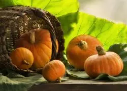 Pumpkin le haghaidh meáchain caillteanas