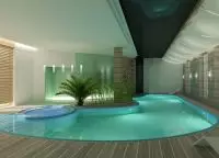 Proiectarea piscinei în House8