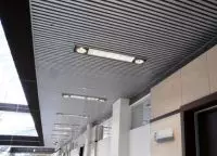 暫停的CEILINGS類型1