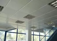 暫停的Ceilings類型3