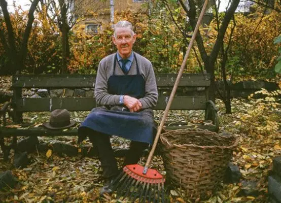 Preparazione giardino per l'inverno