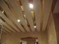 তাক স্থগিত ceilings1