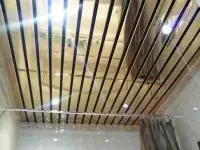 তাক স্থগিত ceilings5