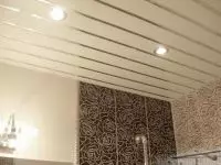 তাক স্থগিত ceilings8।