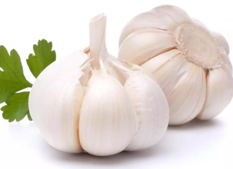 Garlic during pregnancy