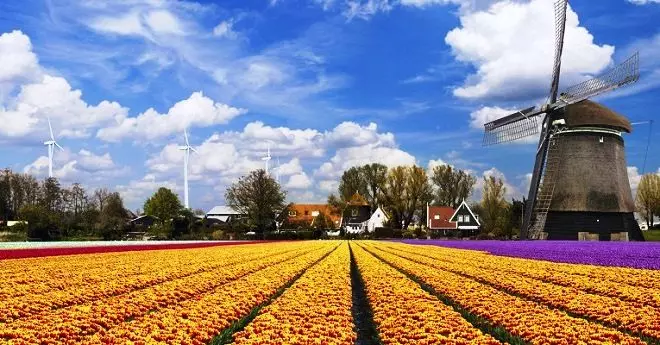 Zomwe Zimapangitsa Kupuma ku Netherlands