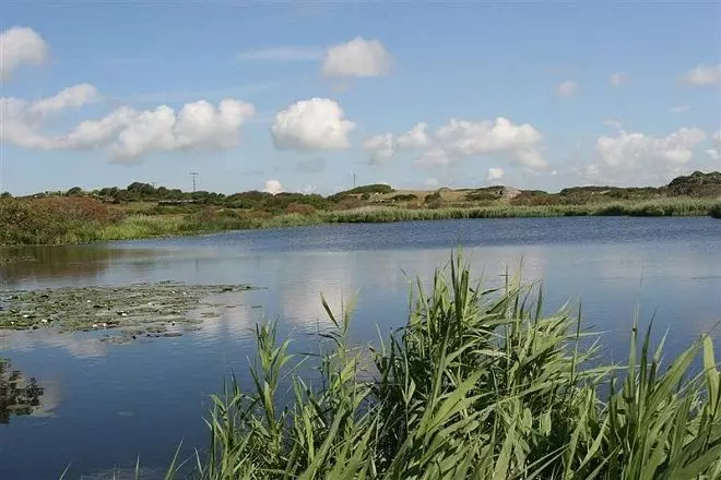 Llin-Kerrig-Bachi järv