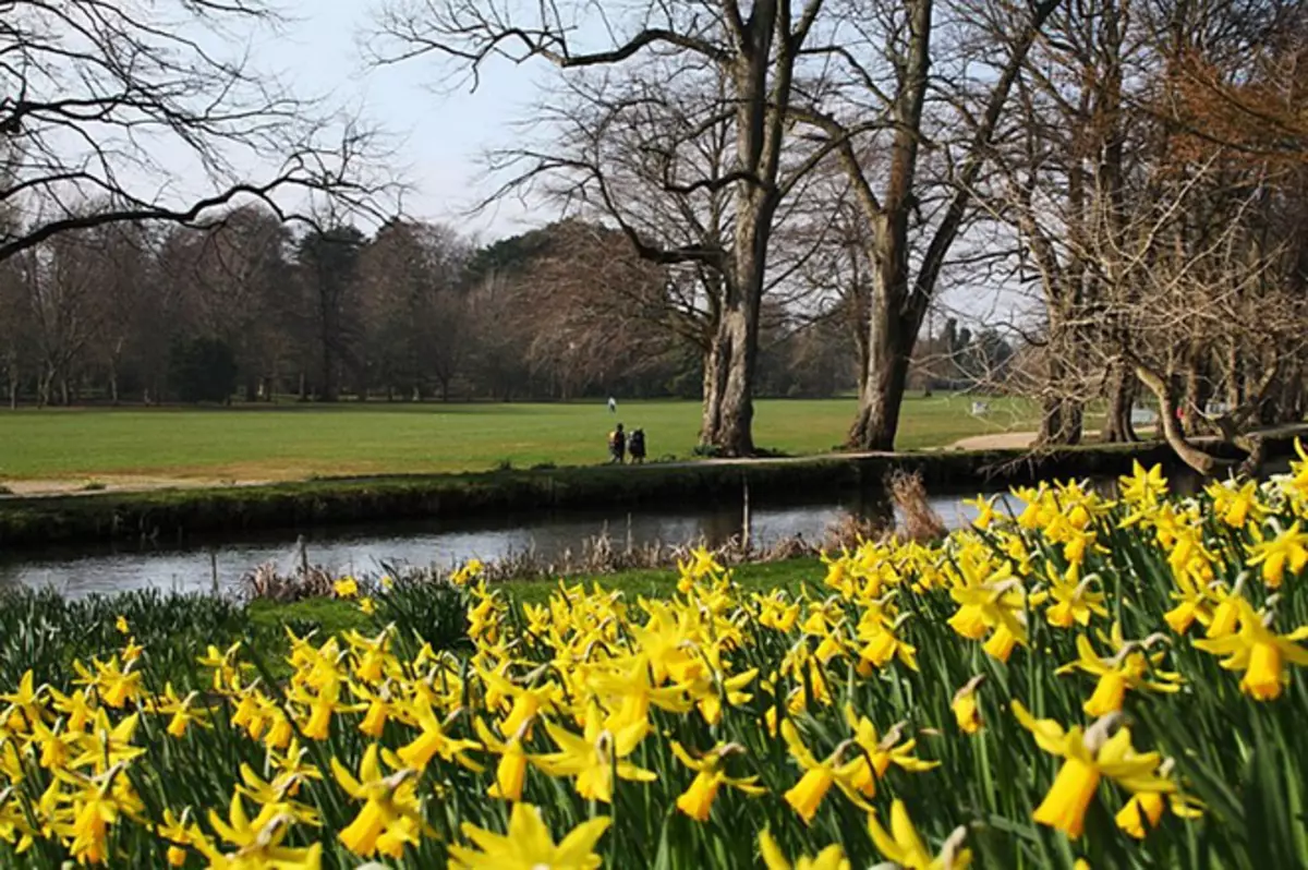 Blomsterpark