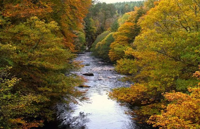 River leida, Šotimaa