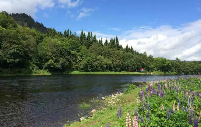 Tay River, Skottland