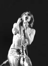 Iggy pop în 1973