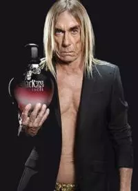 Iggy pop parrel