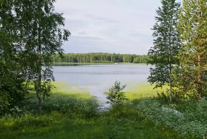 lake ن of جي فطرت