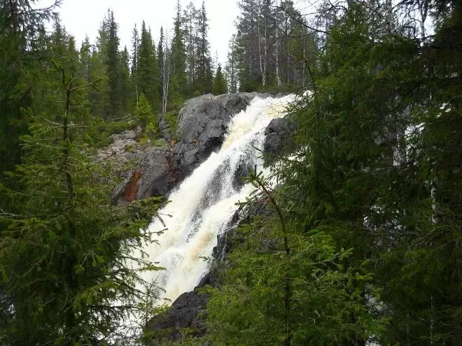 Odume kakhulu (hepochengas)