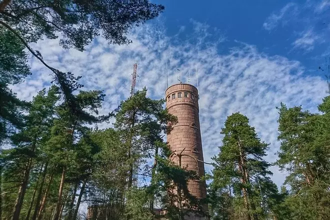 Megfigyelőtorony Pyutunka parkban