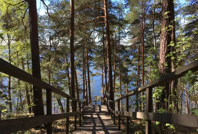 Pedestrian trail in Pühunka Park