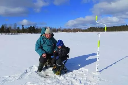 Férias de inverno em Finlândia4