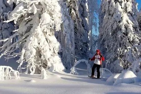 Férias de inverno em Finlândia5