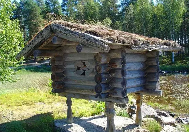 Ambar at Museum Karelia Golaha, Finland