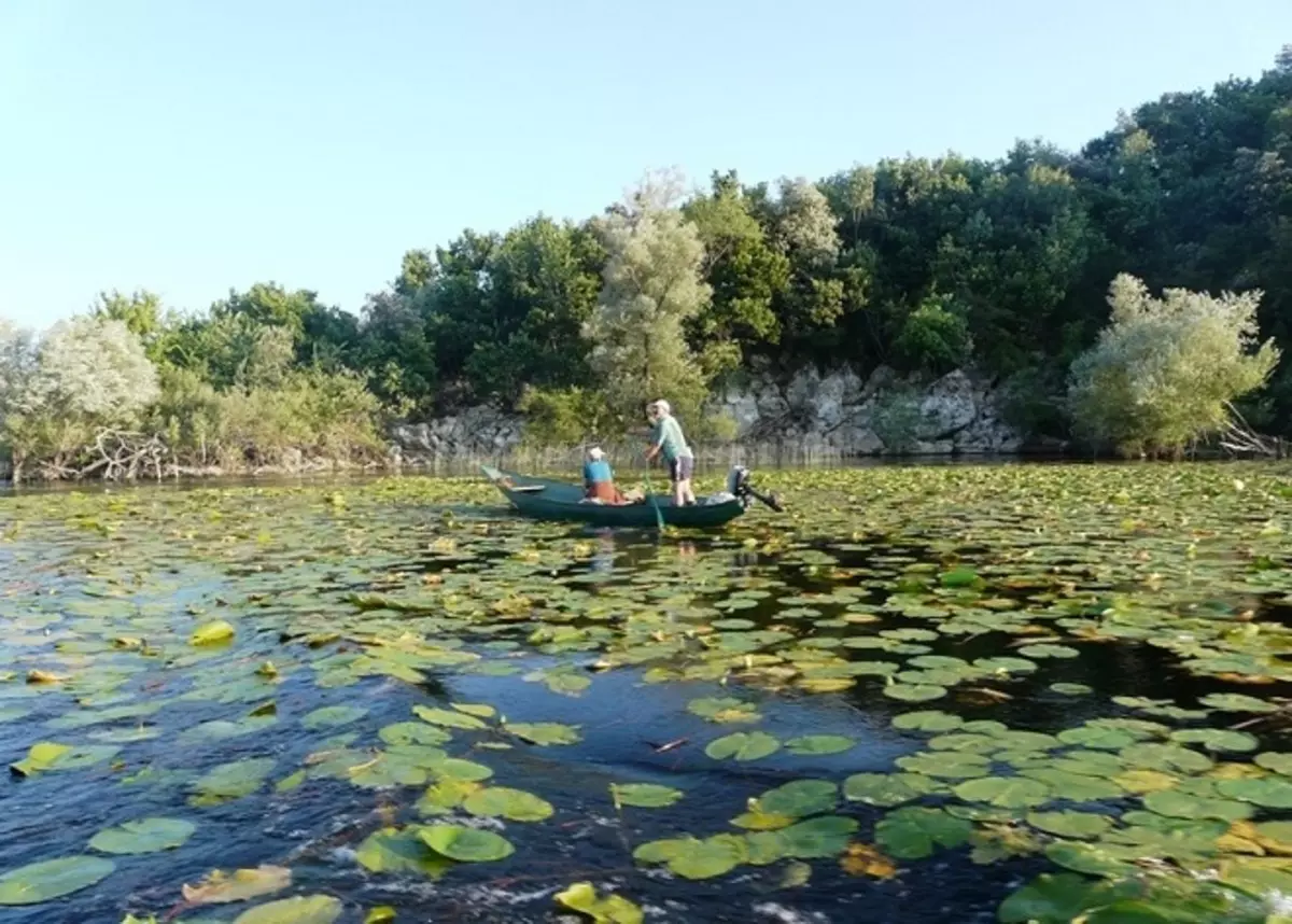 Savali i luga o le vaituloto