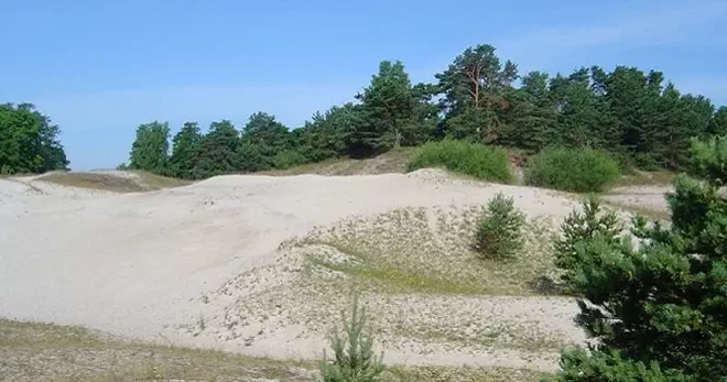 Phenziems Köyünde Beyaz Dune