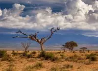 Paisagens Amboseli.