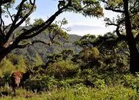 Taman Nasional Alam Kecantikan