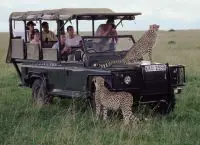 Safari Park Aberer.