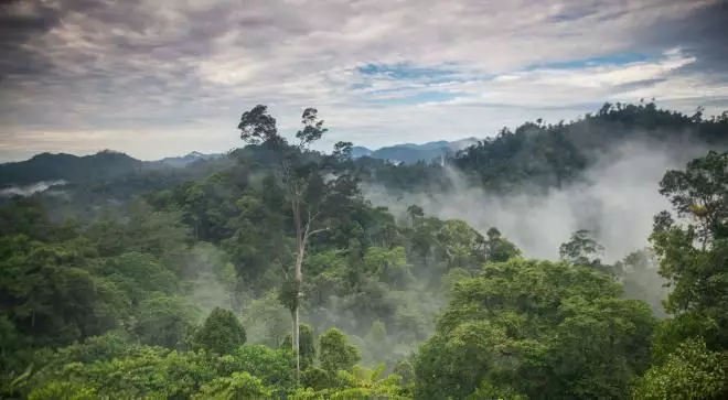 Kalimantan, Indonesia