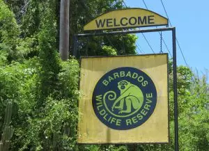 Barbados. Wildlife Reserve