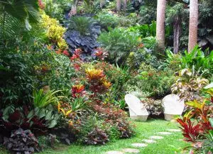 Plantes exotiques dans les jardins de la chasse anthony