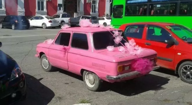 Pink Zaporozhets.