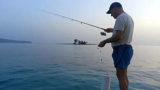 Dan opmerkelijk vissen in Dominican