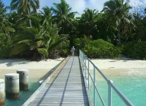 Die brug wat na die eiland lei