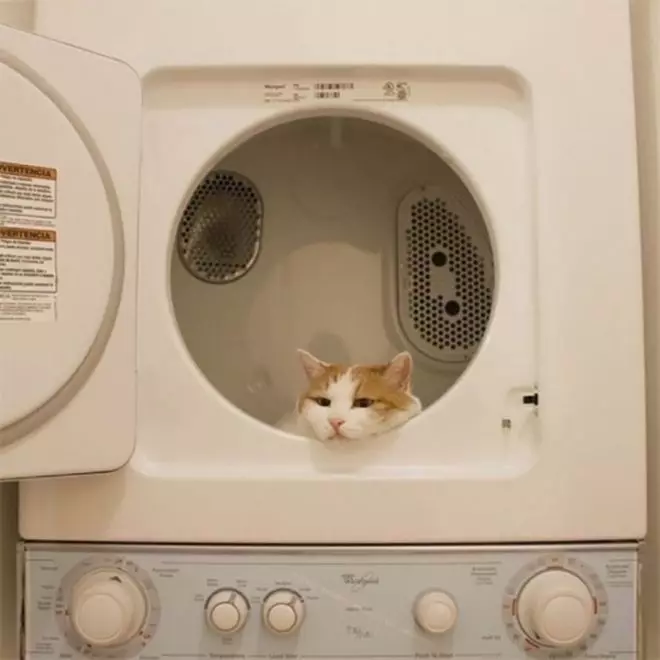 Em uma máquina de lavar roupa