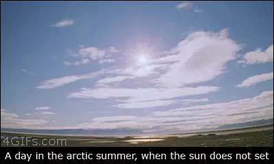 북극 여름