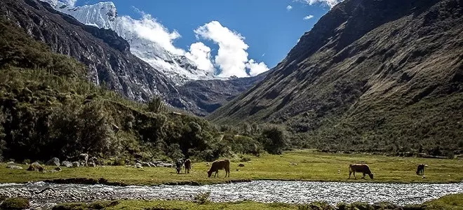 Wadcharan National Park