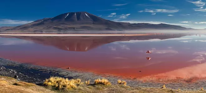 Ferioj en Bolivio